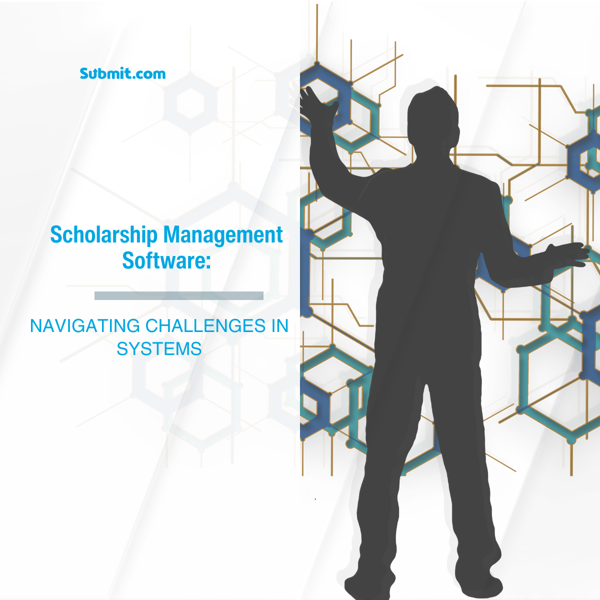 Navigating Challenges in Scholarship Management Systems